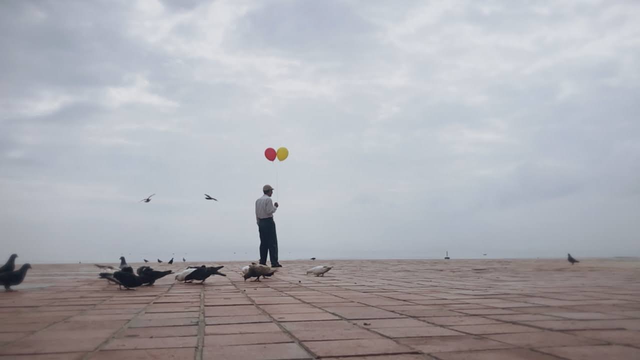 Vietnam War Told Through Female Lens | Vietcetera