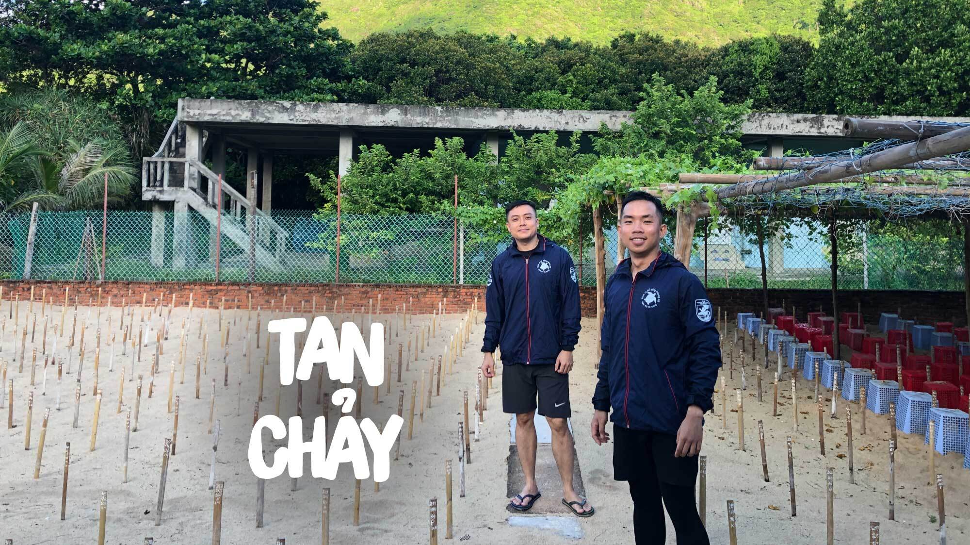 "Anh nghỉ việc để đỡ đẻ cho rùa dưới trời đầy sao" | Vietcetera