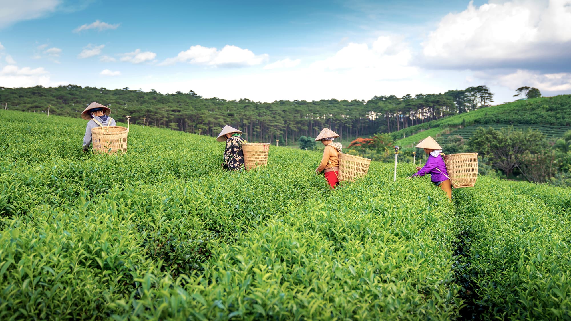 US Think Tank Lists Vietnam Among “Moderately Free” Economies | Vietcetera