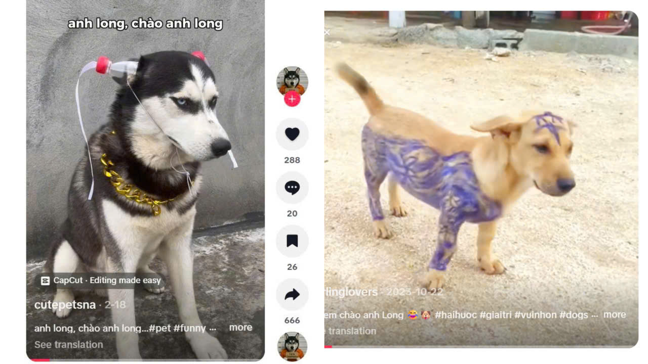 “Anh Long” là ai mà fan Việt gọi vang cuối tuần vừa rồi? | Vietcetera