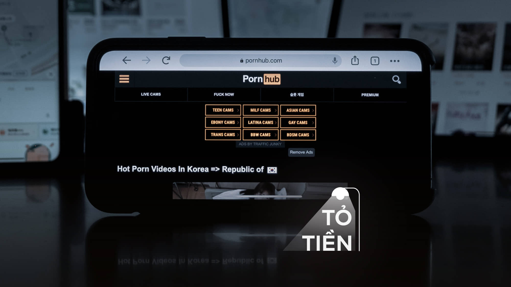 Ngành Công Nghiệp Phim Khiêu Dâm Kiếm Tiền Như Thế Nào Vietcetera