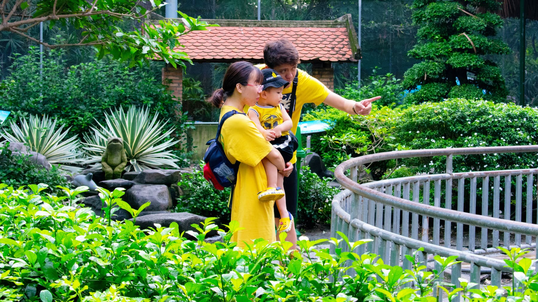 Nature Over Urbanization: Vietnam Seeks To Add More Green Space ...