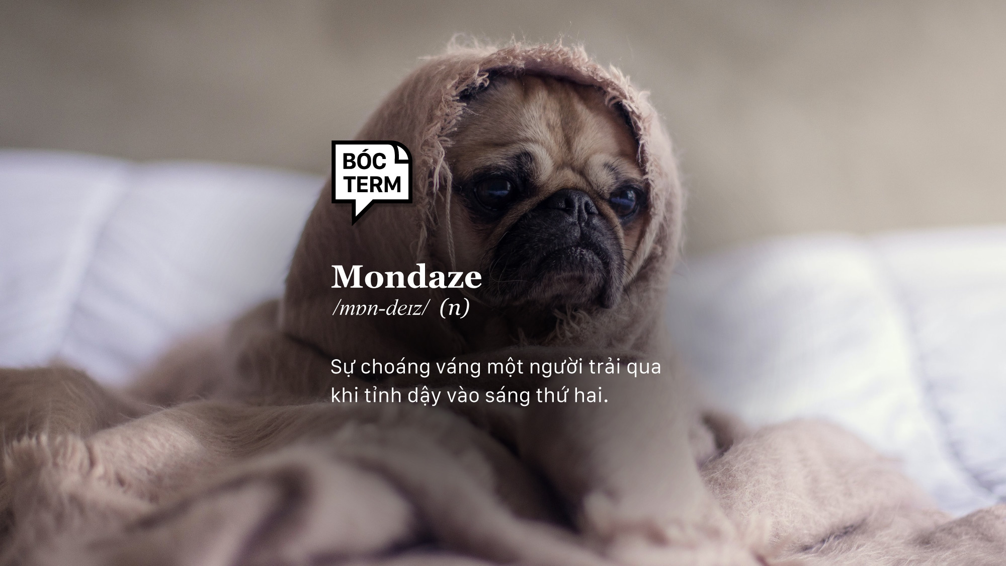 Mondaze: Khi Thứ Hai biến thành một trò đùa nhiều buồn hơn cười ...