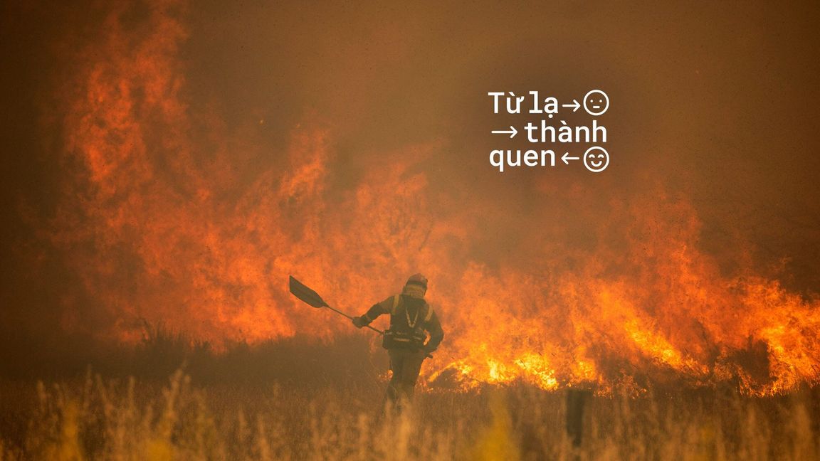 Vietcetera - Góc nhìn đa chiều về Việt Nam hiện đại