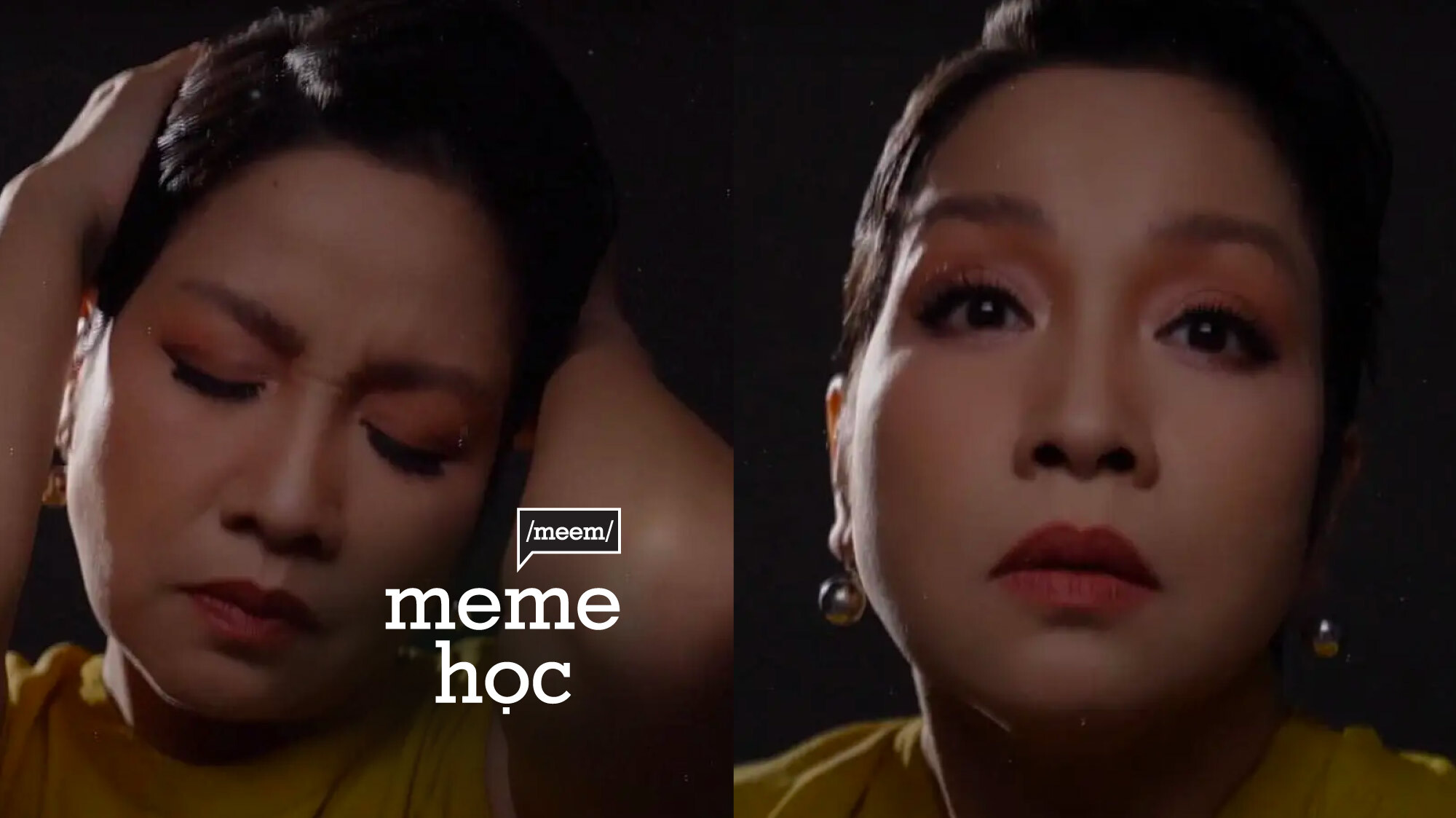Khi diva Mỹ Linh ‘đạp gió rẽ sóng’ thành meme | Vietcetera