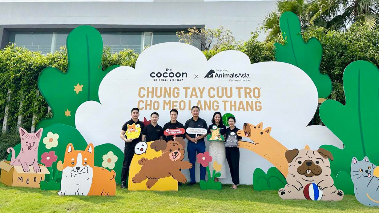 Cứu trợ chó mèo lang thang cùng Cocoon và Tổ chức Động vật châu Á ...