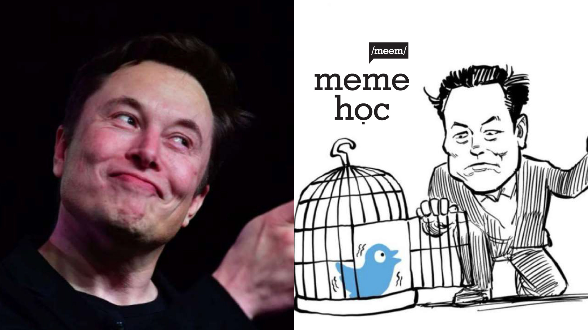 Elon Musk "chốt" 1 thương vụ lãi cả tá meme | Vietcetera
