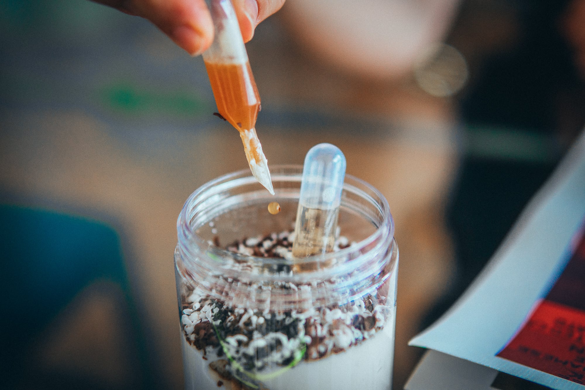 Bakes Saigon: Laure Chevallier Is Serving Up Sweet Stories | Vietcetera